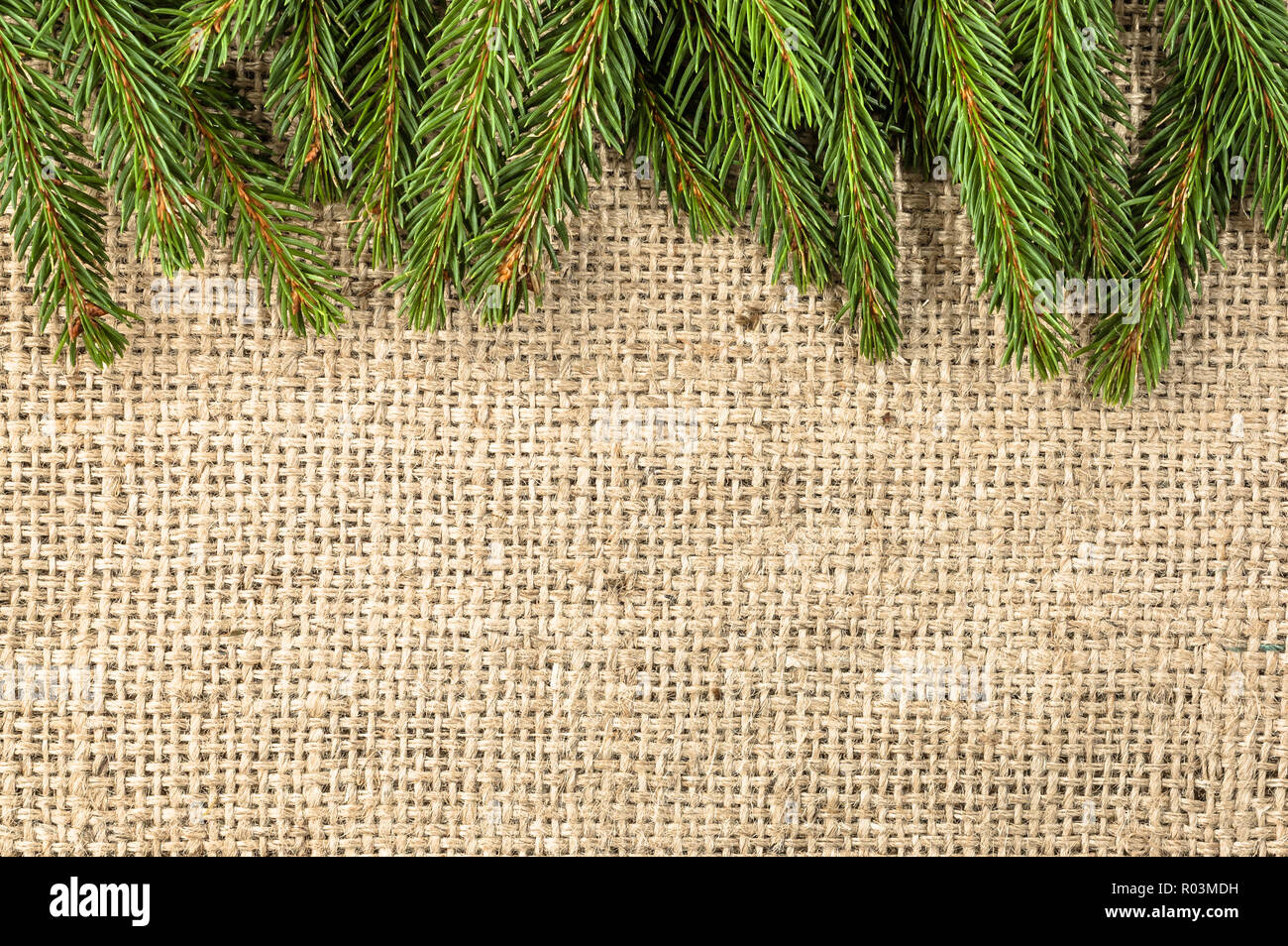Christmas rustic background with fir border Stock Photo - Alamy