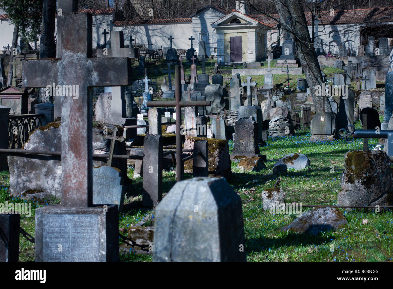 Walking in the old cemetery Stock Photo - Alamy
