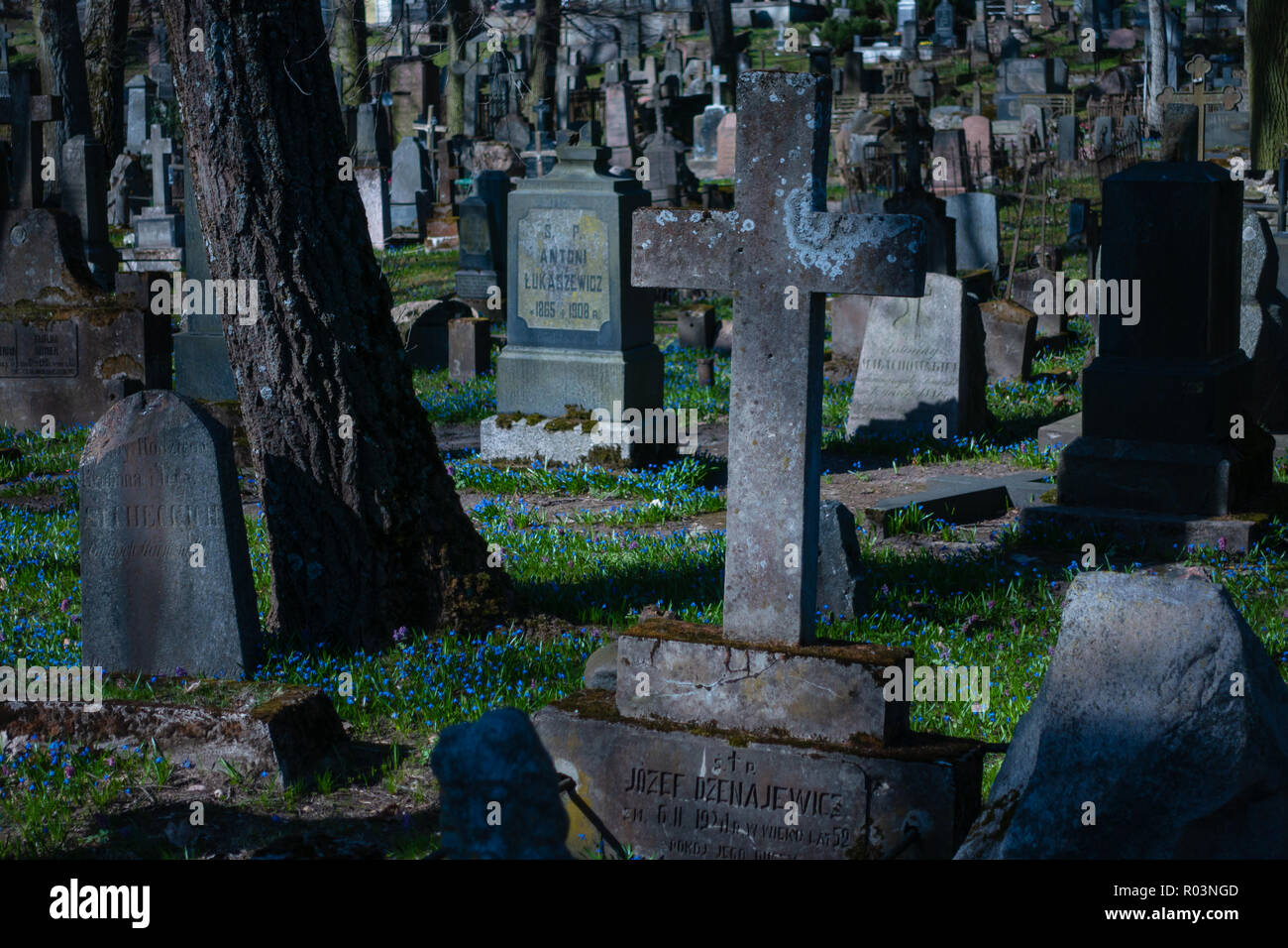Walking in the old cemetery Stock Photo - Alamy