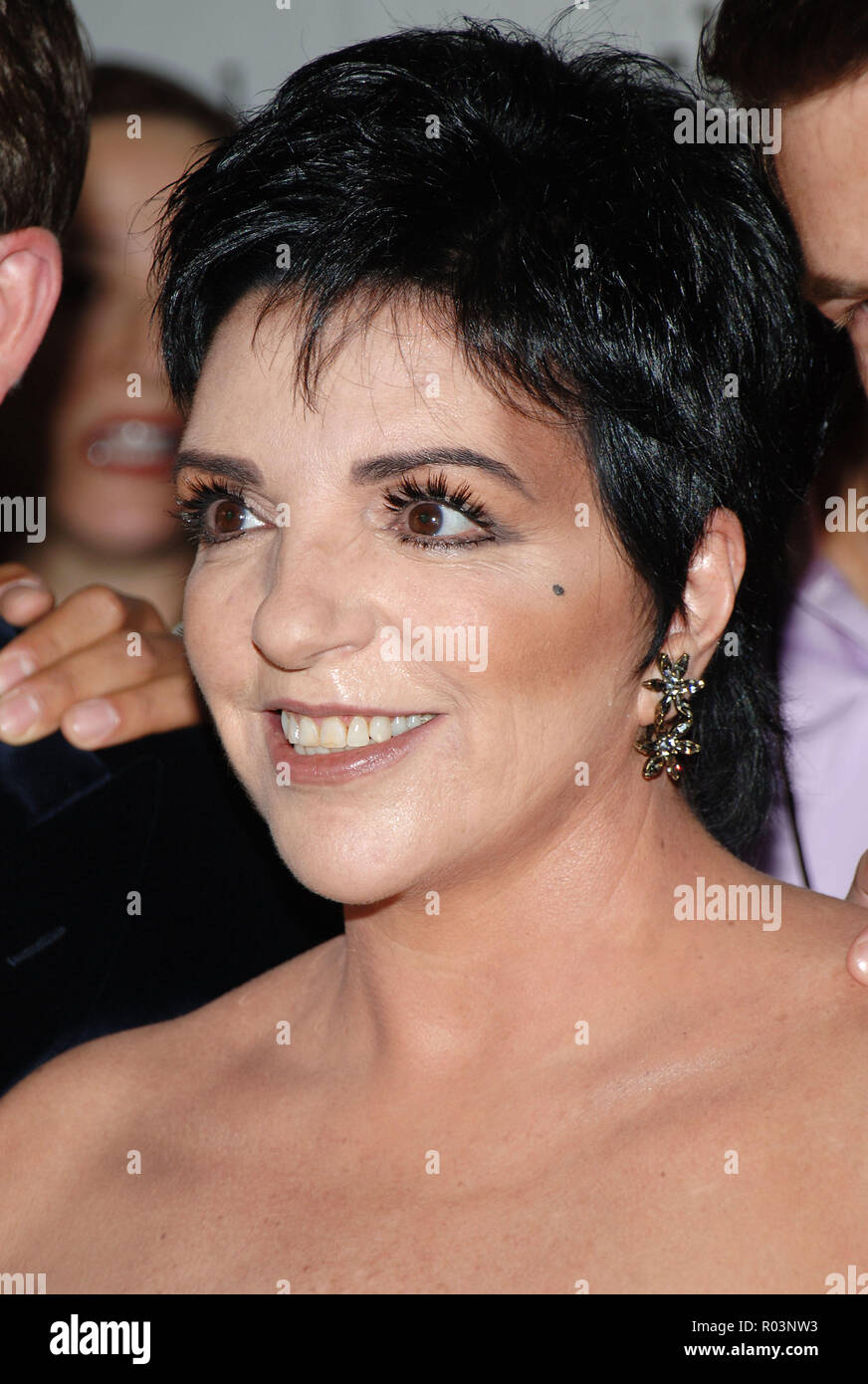 Liza minelli red carpet event hi-res stock photography and images - Alamy