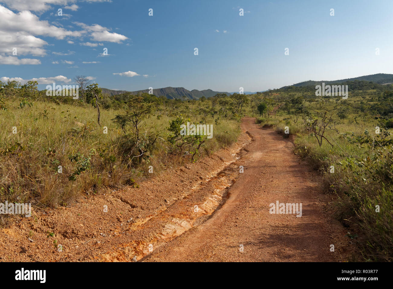 Cerrado in central Brasil Stock Photo - Alamy