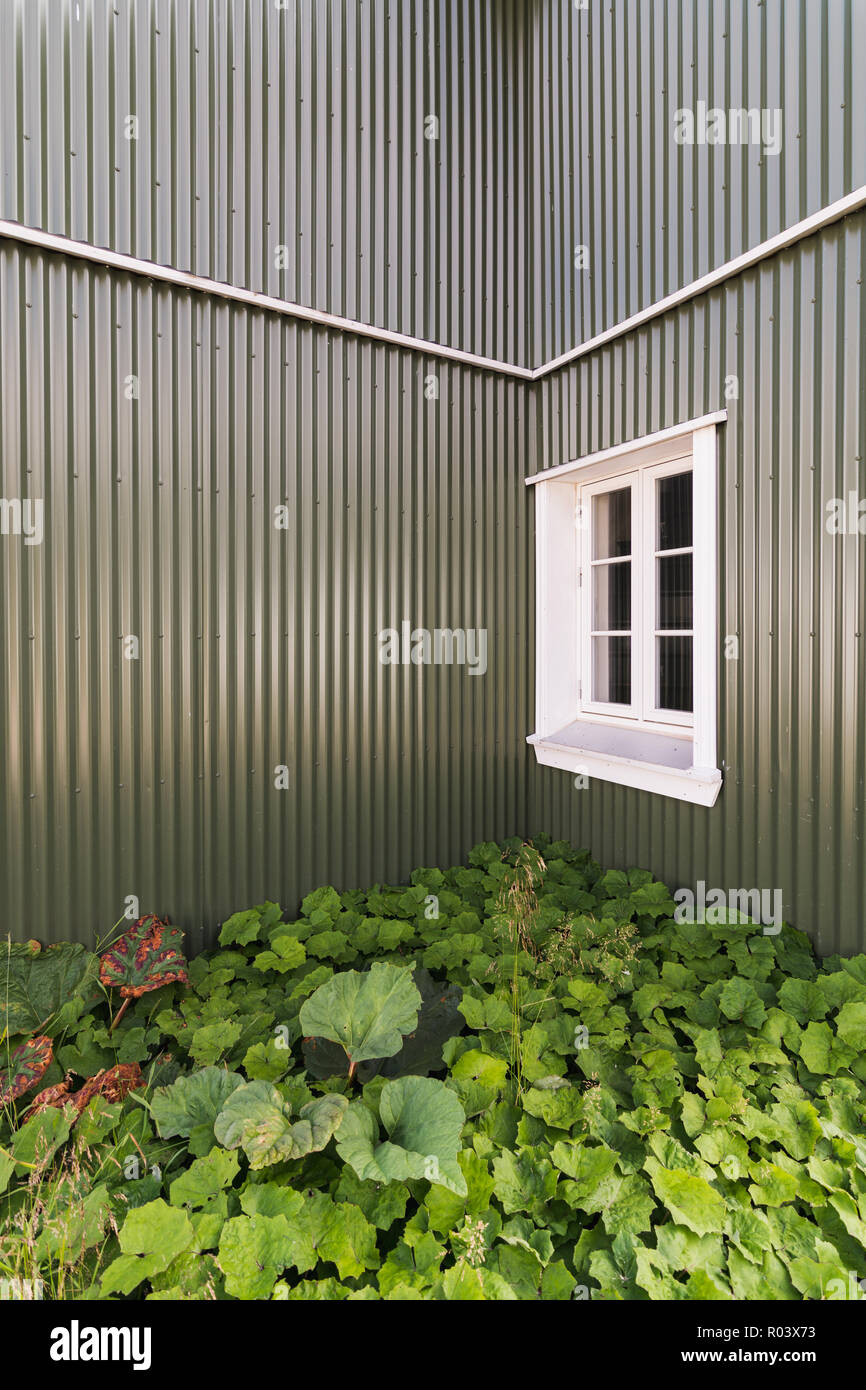 Detail of authentic Icelandic residential house in Seydisfjordur. Green ...