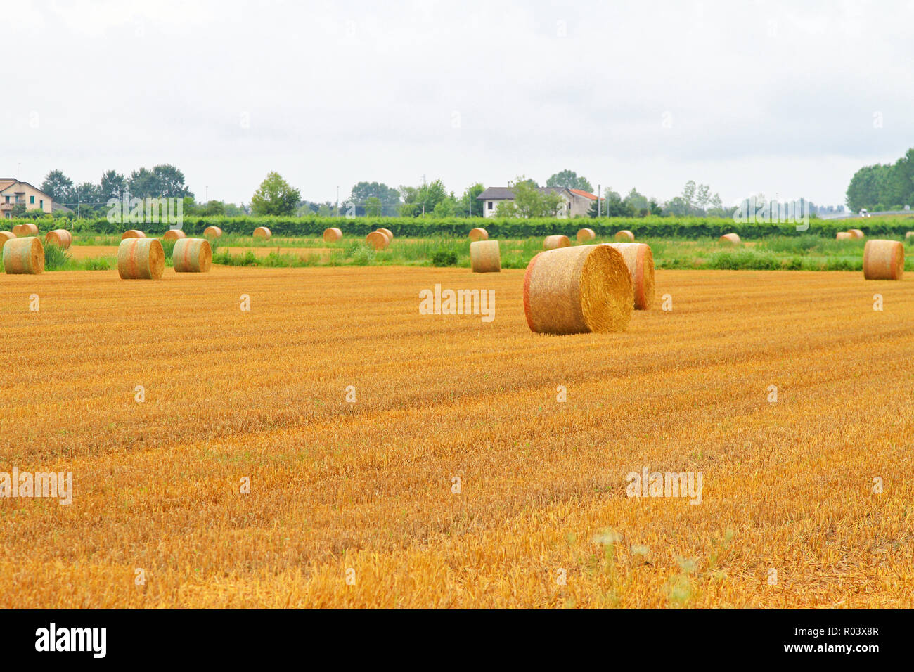 Rolling haystack hi-res stock photography and images - Alamy