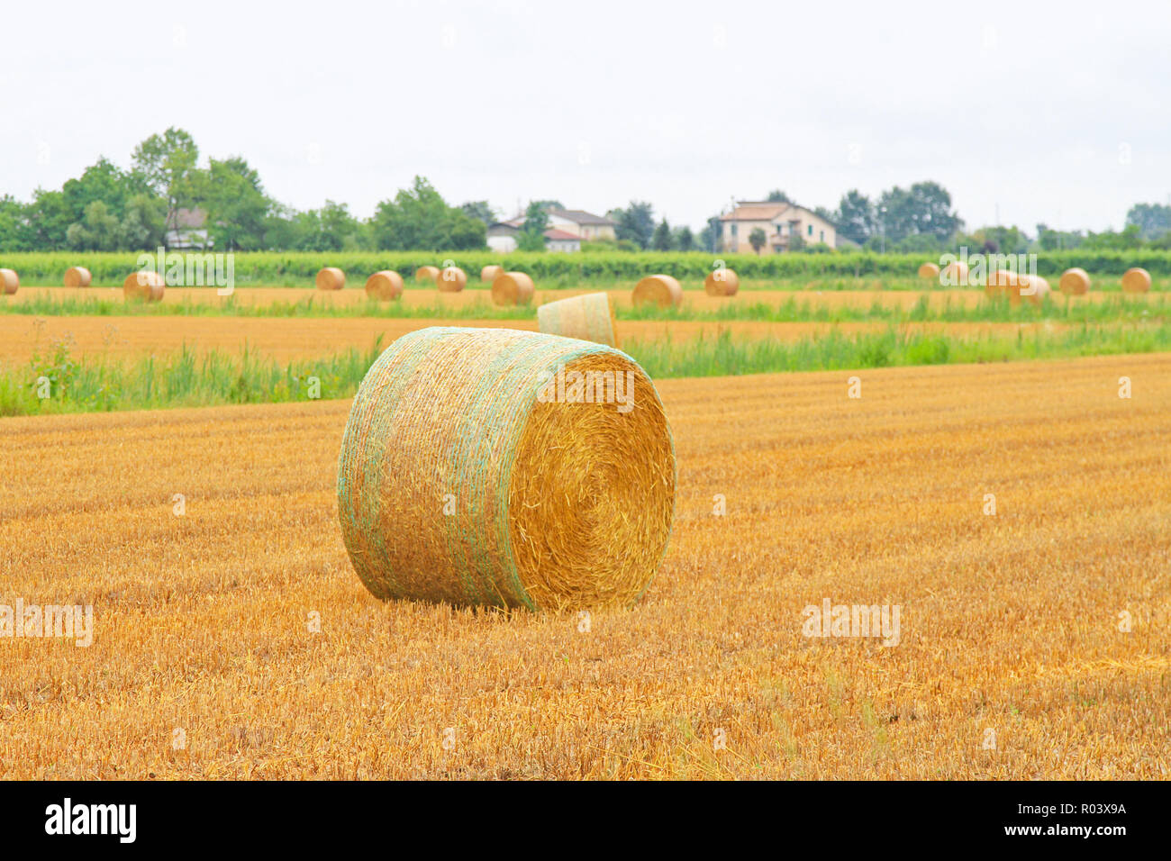 Rolling haystack hi-res stock photography and images - Alamy