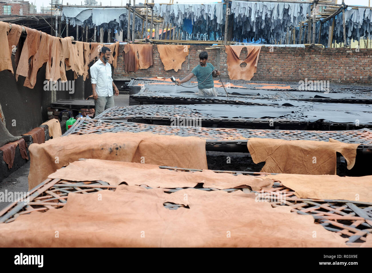 Dhaka, Bangladesh - April 04, 2016: Bangladeshi tannery workers process ...