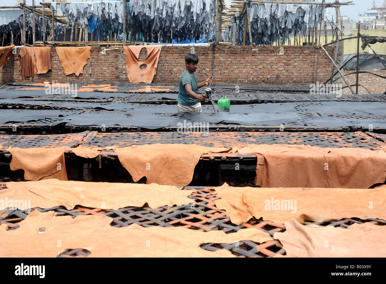 Dhaka, Bangladesh - April 04, 2016: Bangladeshi tannery workers process ...