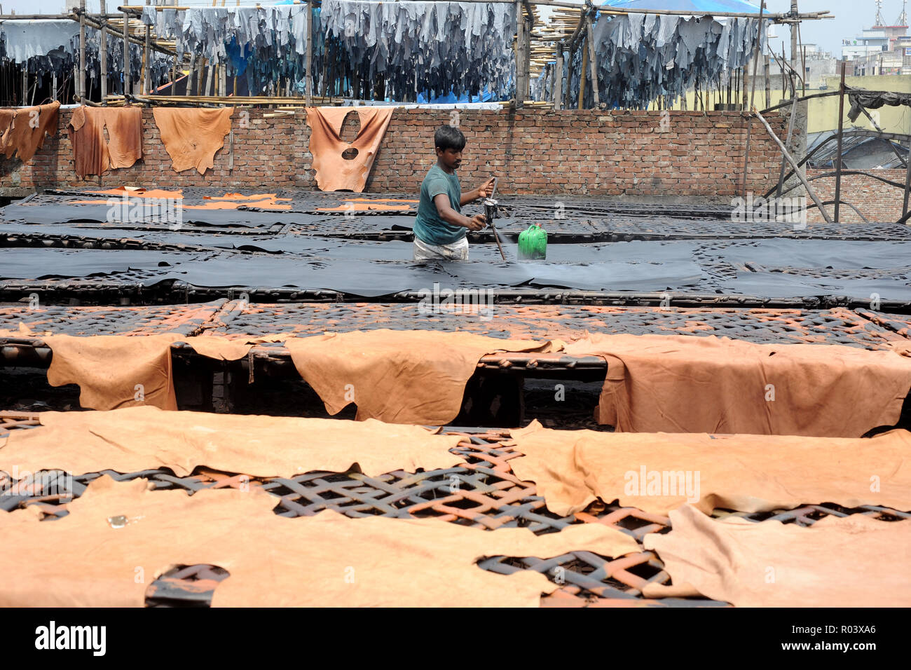 Dhaka, Bangladesh - April 04, 2016: Bangladeshi tannery workers process ...