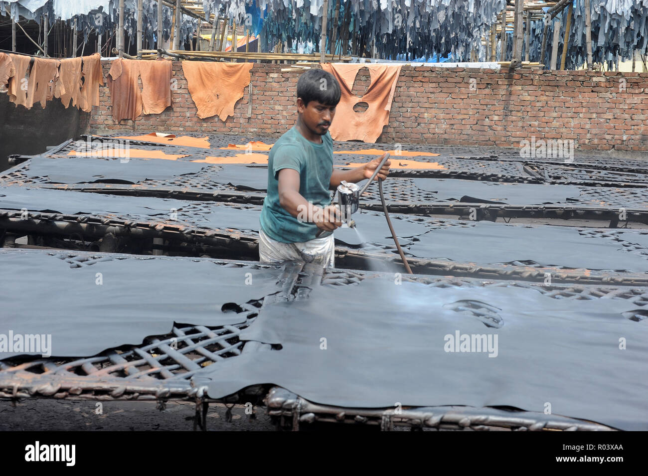 Dhaka, Bangladesh - April 04, 2016: Bangladeshi tannery workers process ...