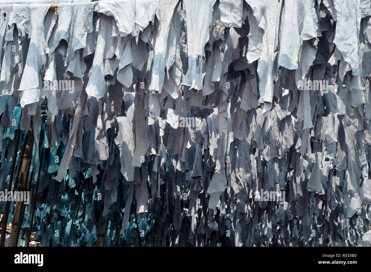 Dhaka, Bangladesh - April 04, 2016: Processed lather dries under the ...