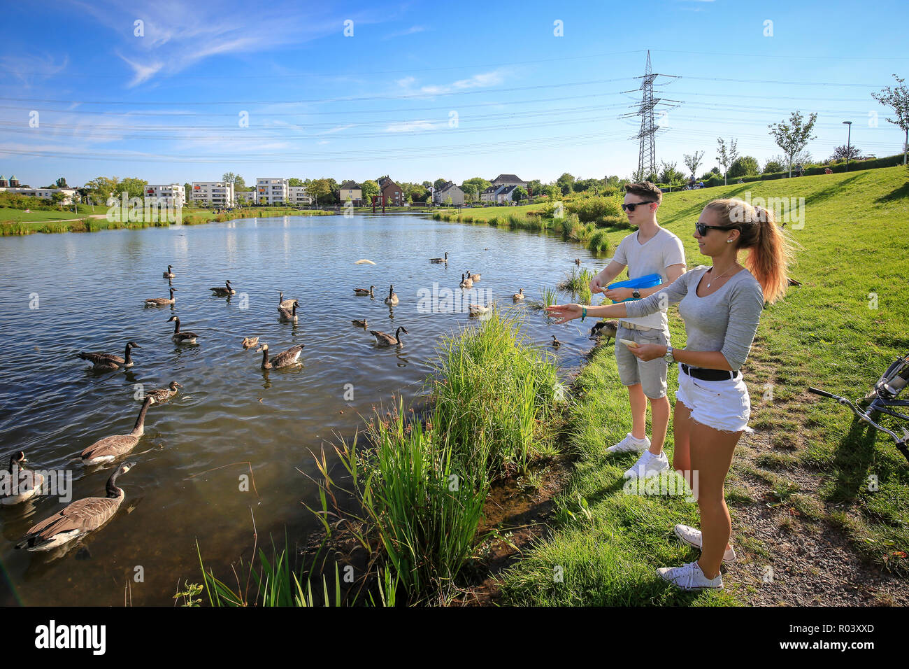 Essen, Ruhr area, Germany, urban development project Niederfeldsee ...