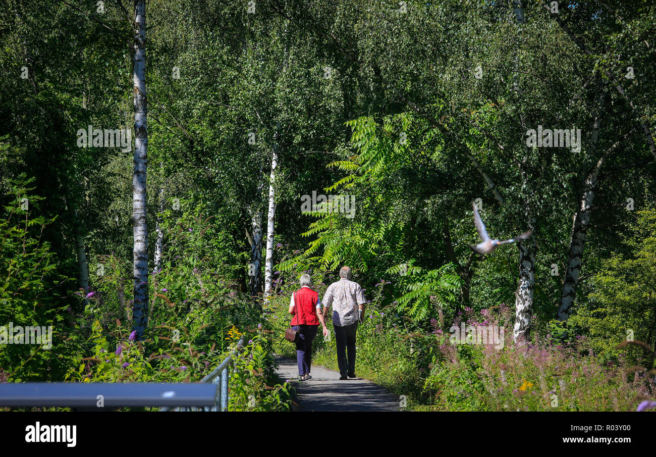 Essen, Ruhr area, Germany, people walking in the Zollvereinpark Stock ...