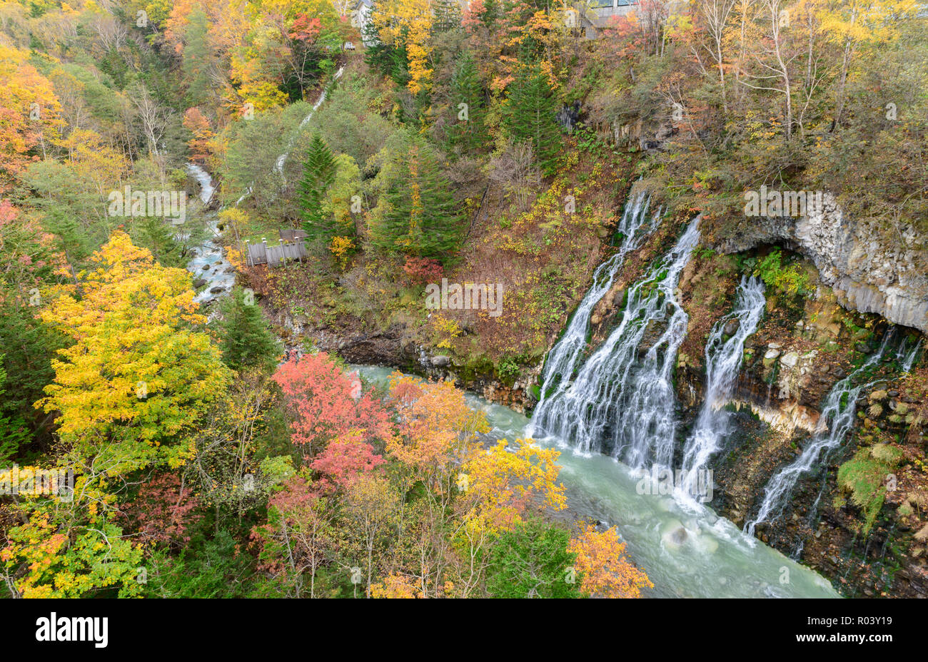 Beautiful Shirahige Waterfall and colourful tree in autumn, Biei ...