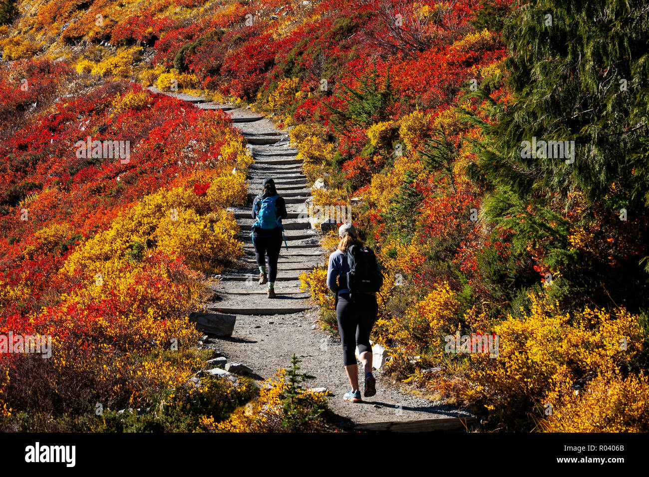 Pathway to paradise hi-res stock photography and images - Alamy