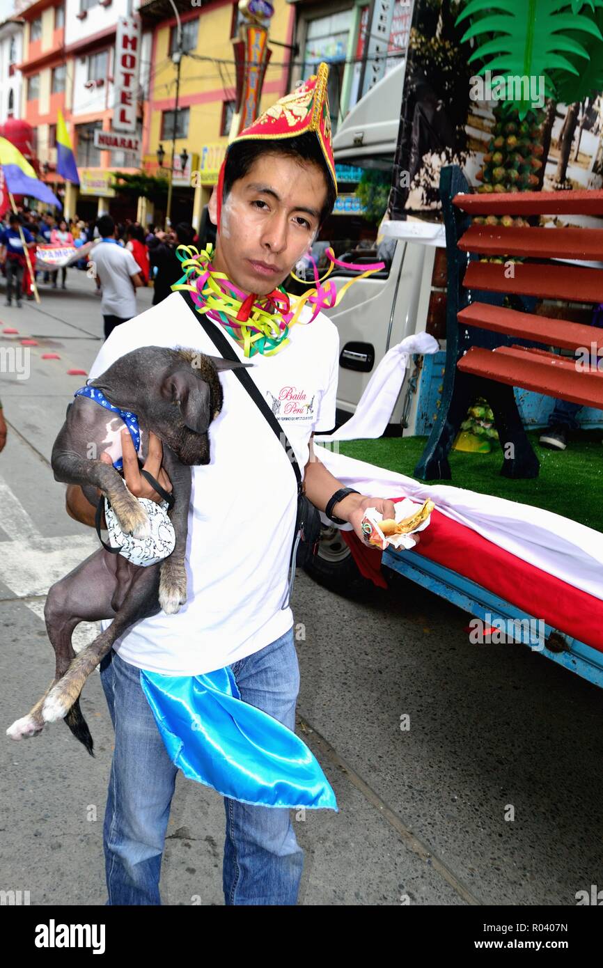 Viringo dog - Virgen de la Candelaria - Carnival in HUARAZ. Department ...