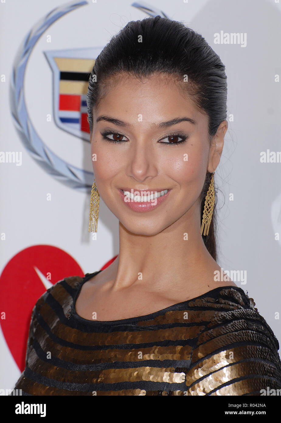 Rosalyn Sanchez arriving at the 2007 Musicares Person Of The Year Don ...