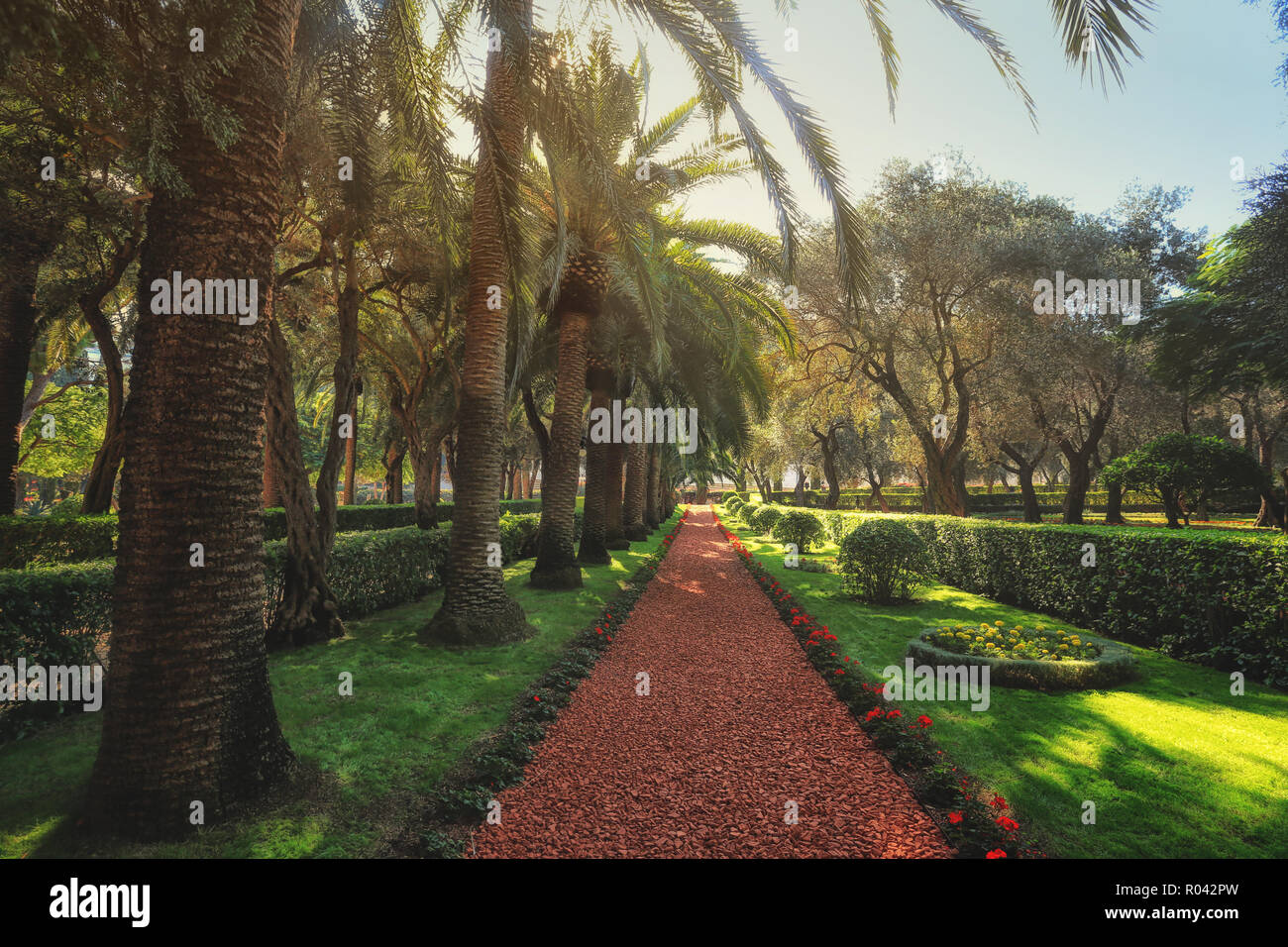 The Bahai Gardens in Haifa in Israel. It is a place where people admire ...