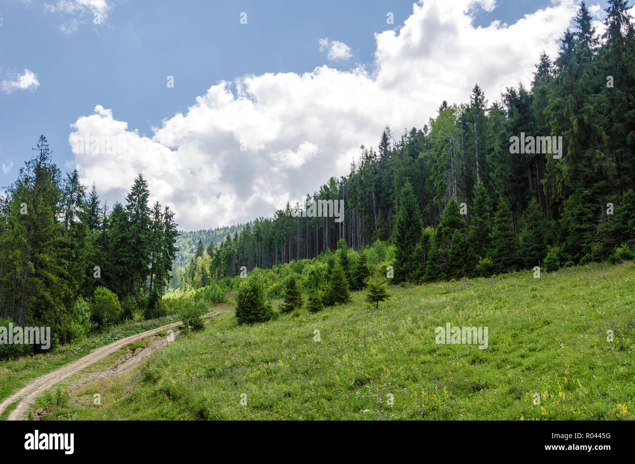 Green Carpathians. Ukrainian mountains, beautiful summer landscape Stock Photo - Alamy