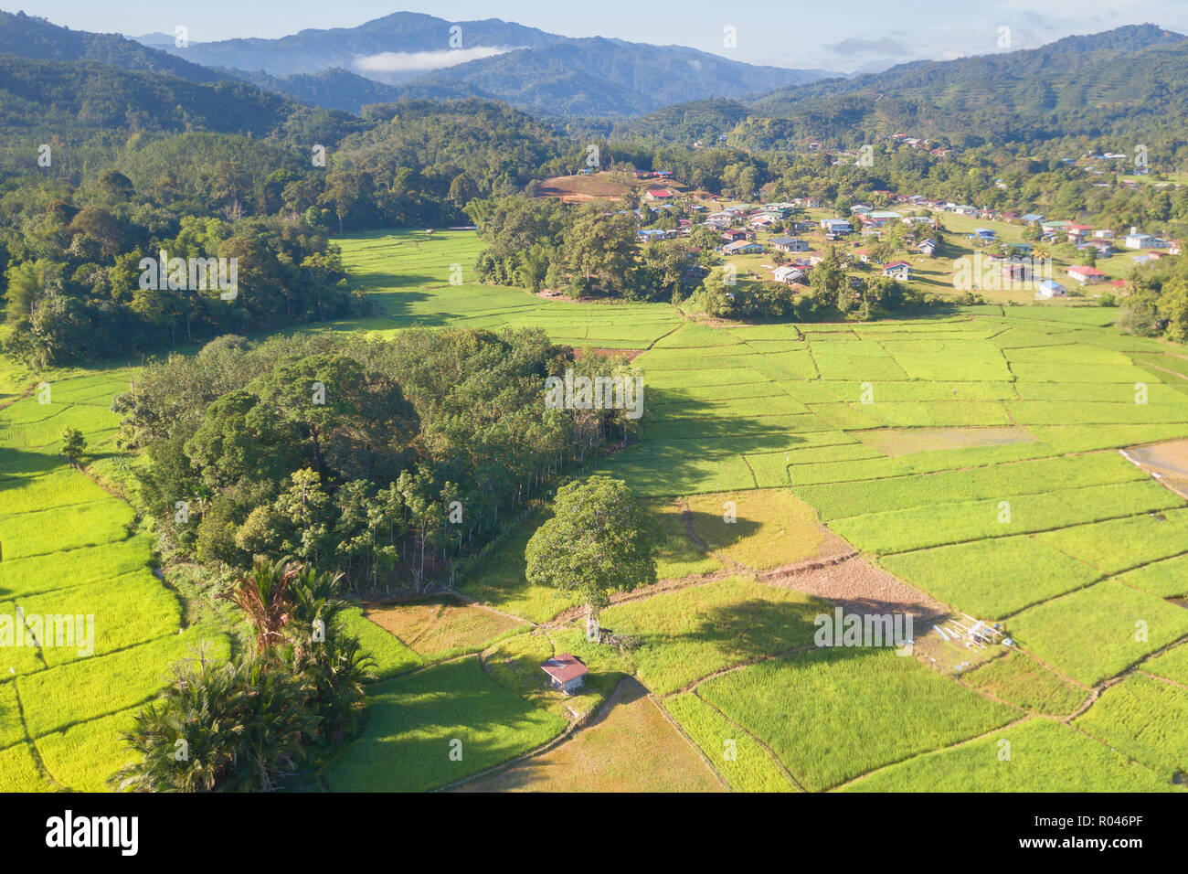Morning landscape of village with river and green paddy field at Kiulu ...