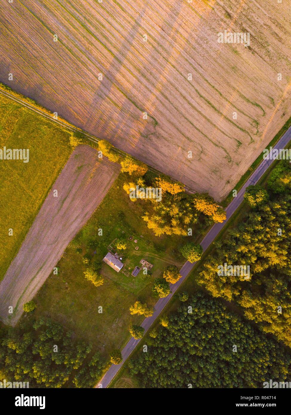 Top down view of farmland. Polish golden light landscape Stock Photo ...