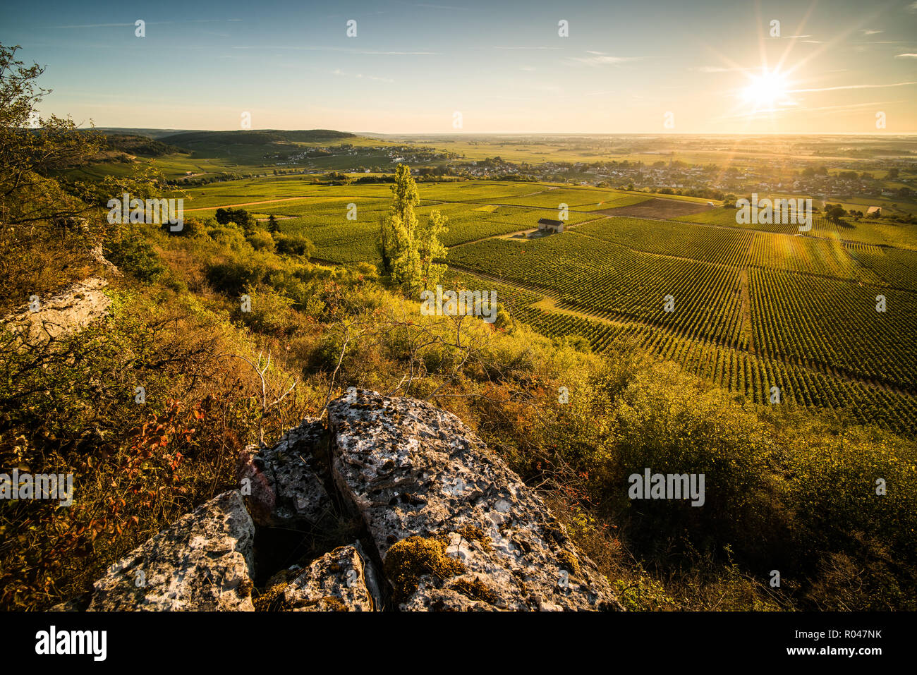 Meursault village hi-res stock photography and images - Alamy
