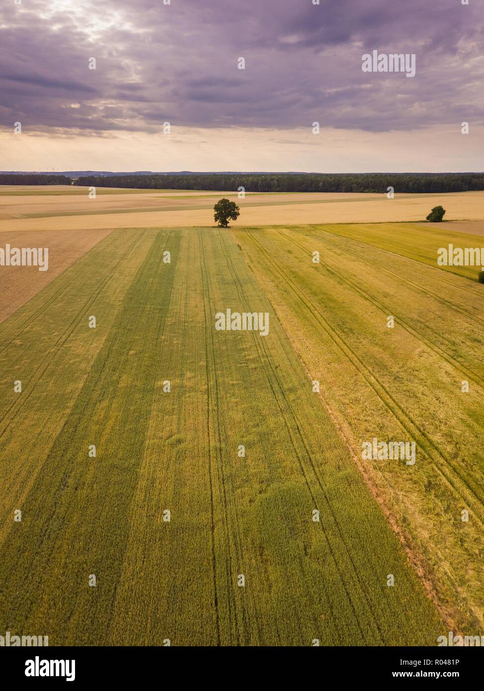 Beautiful summer fields from above. Drone photography of summer polish ...