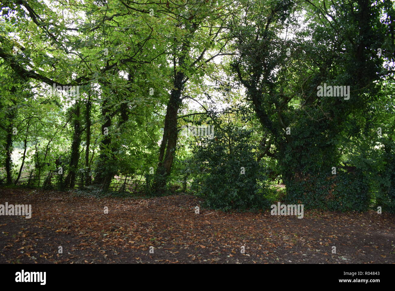 Trail around Deddington Castle Stock Photo - Alamy