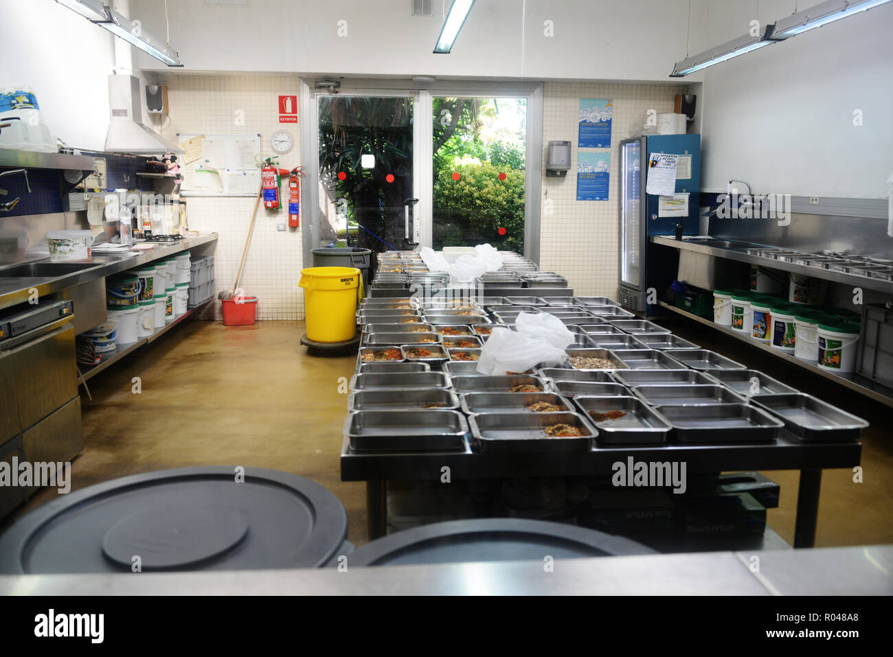 Food for many birds hi-res stock photography and images - Alamy