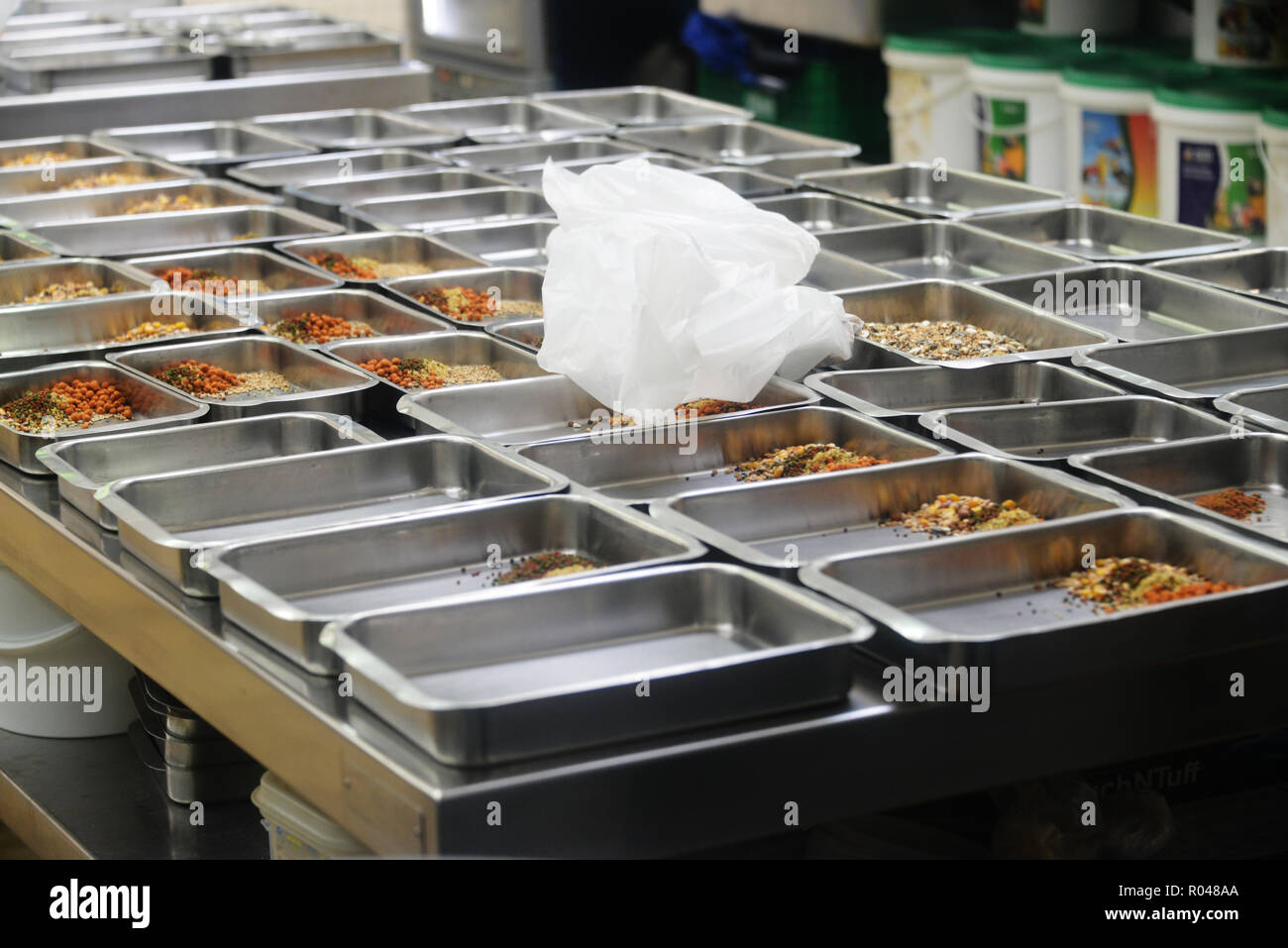 Zoo kitchen hi-res stock photography and images - Alamy