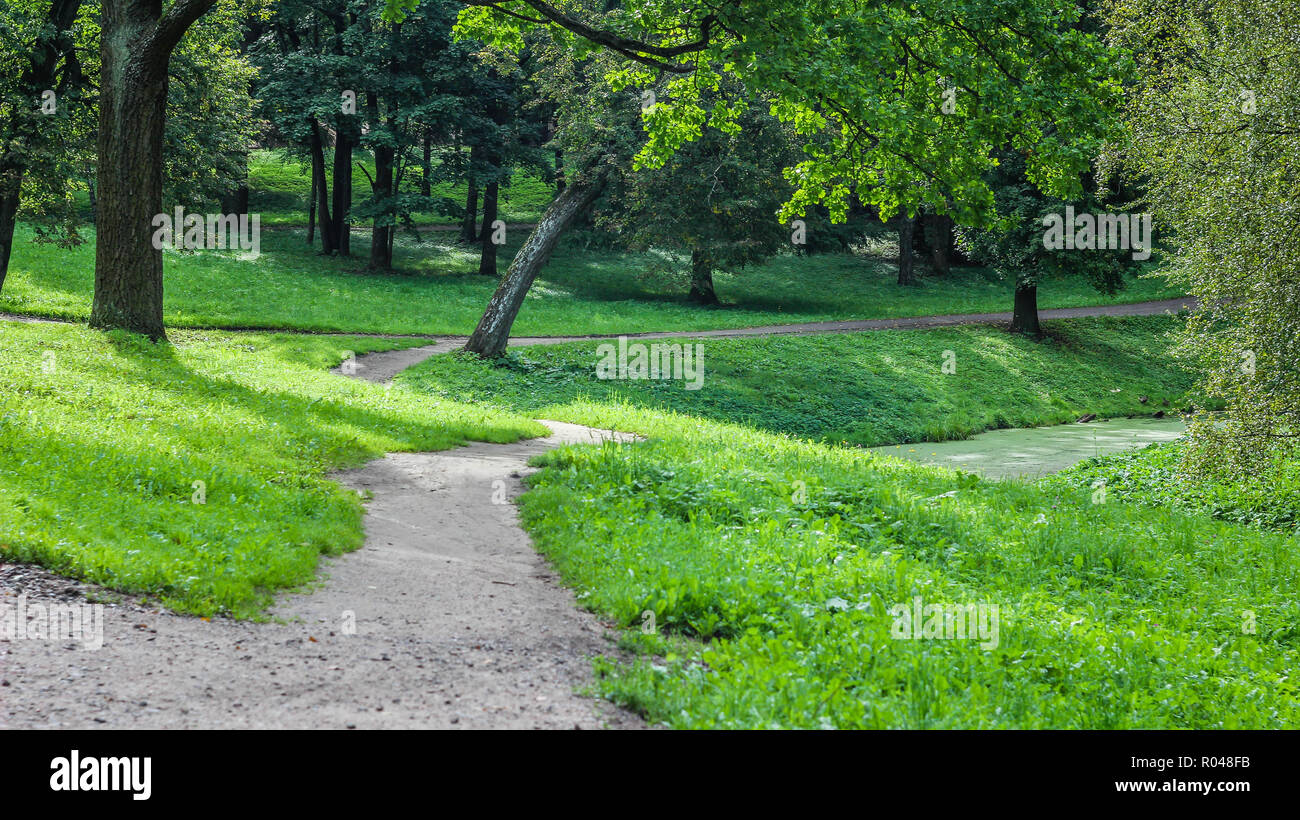 Summer park path. Green trees, stone paths. Walk in the fresh air ...
