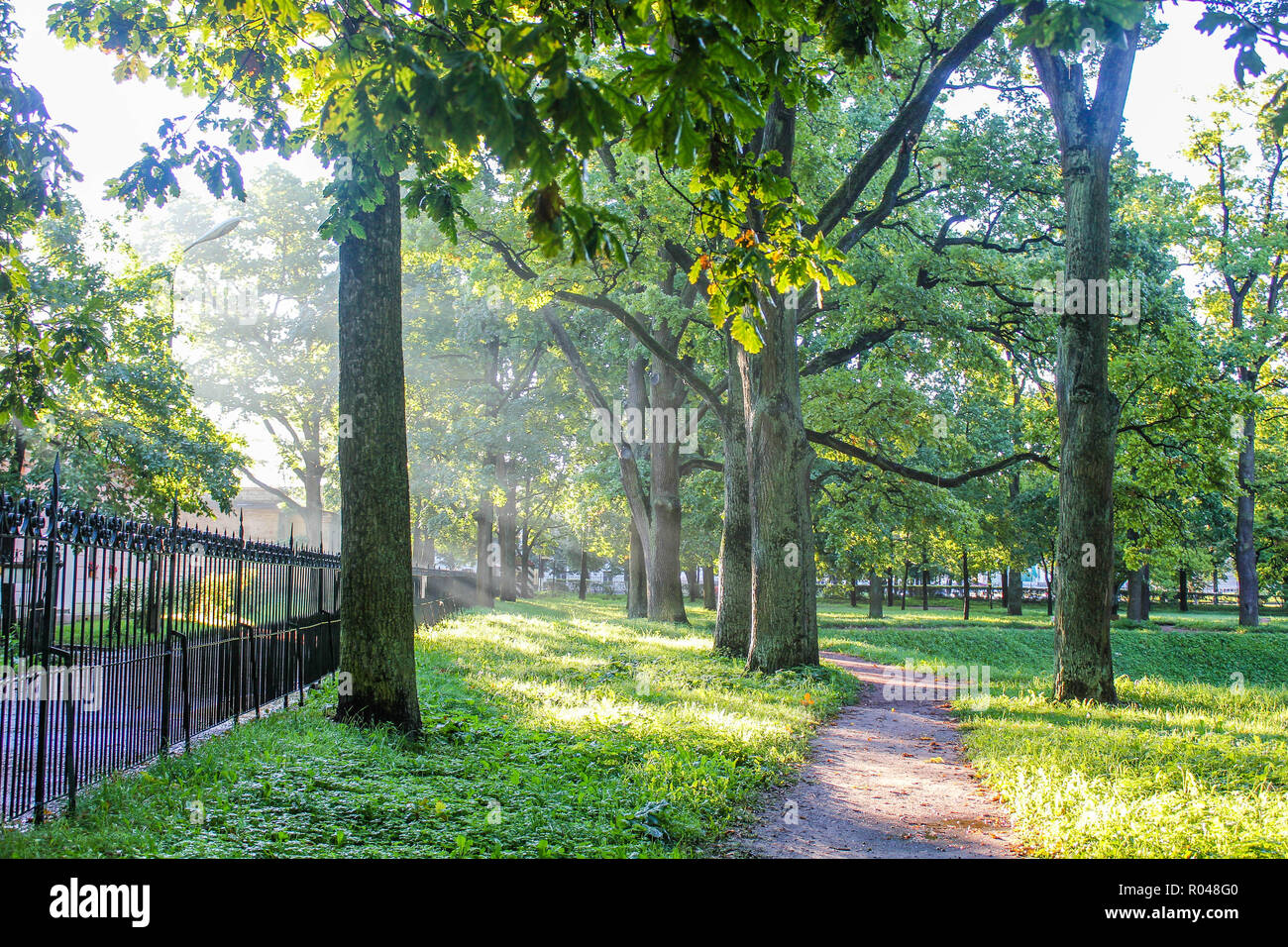 Summer park path. Green trees, stone paths. Walk in the fresh air ...