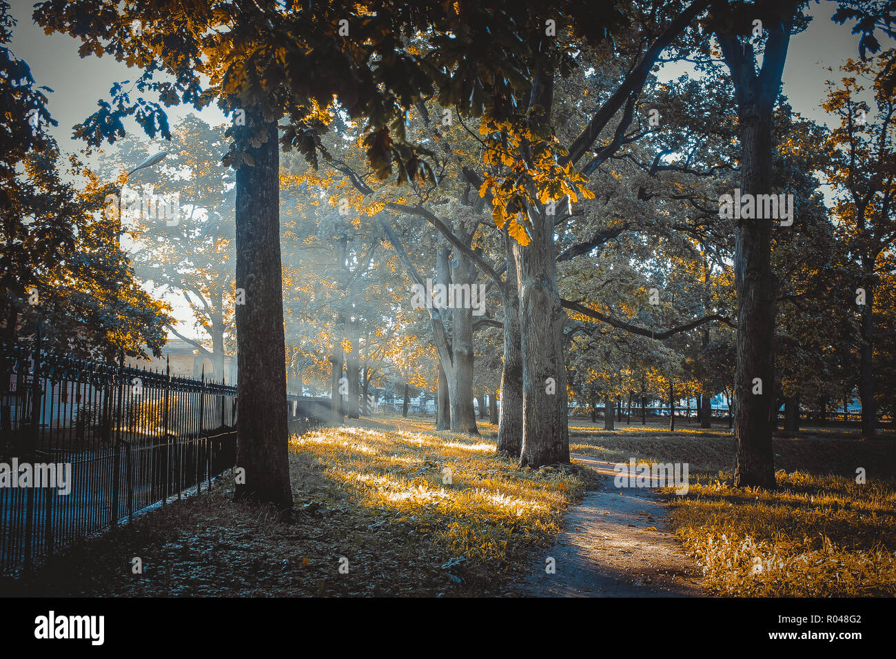 Summer park path. Green trees, stone paths. Walk in the fresh air ...