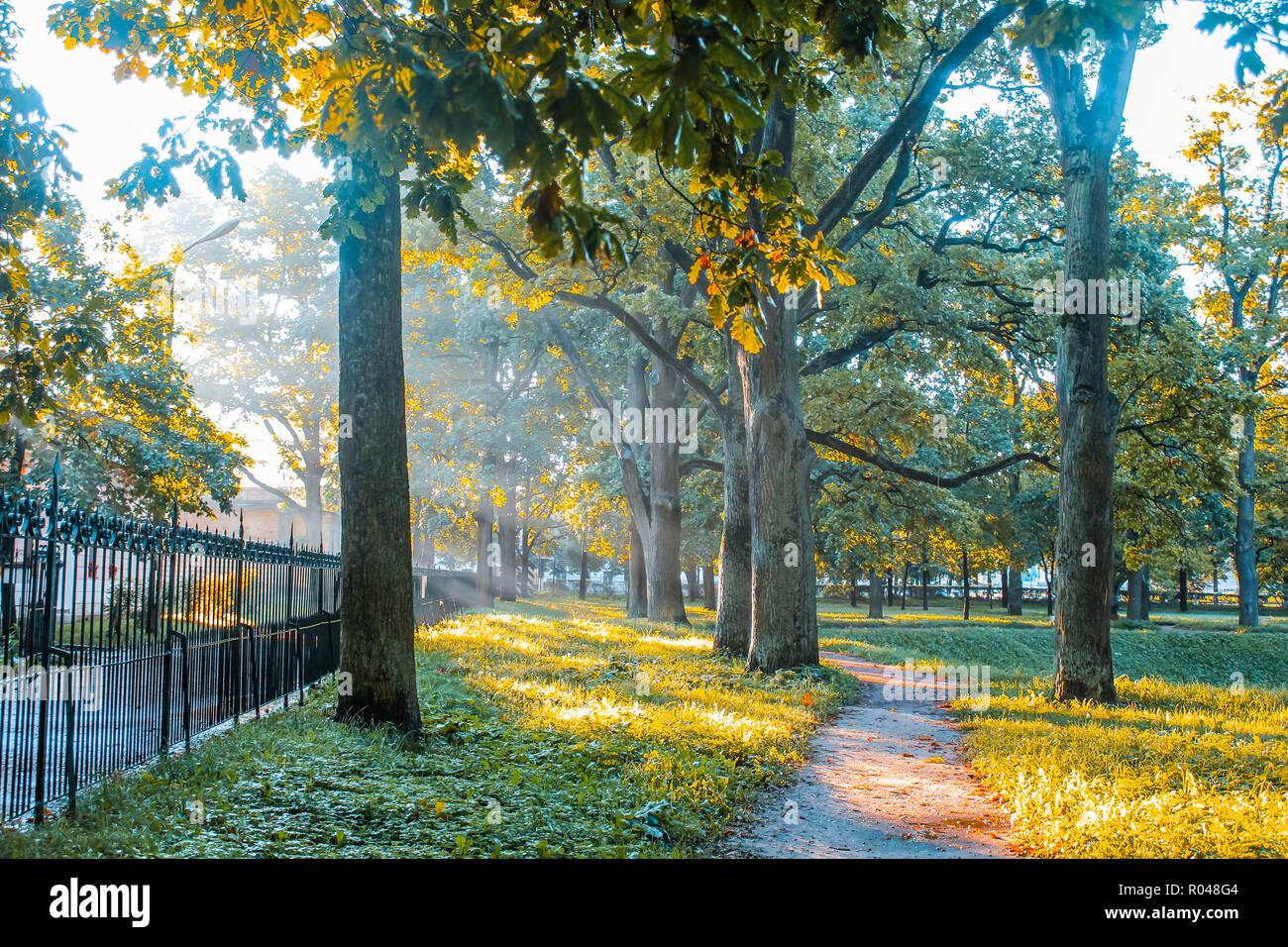 Summer park path. Green trees, stone paths. Walk in the fresh air ...