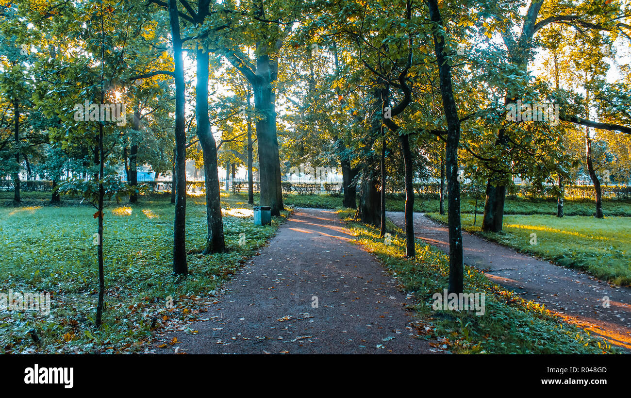Summer park path. Green trees, stone paths. Walk in the fresh air ...
