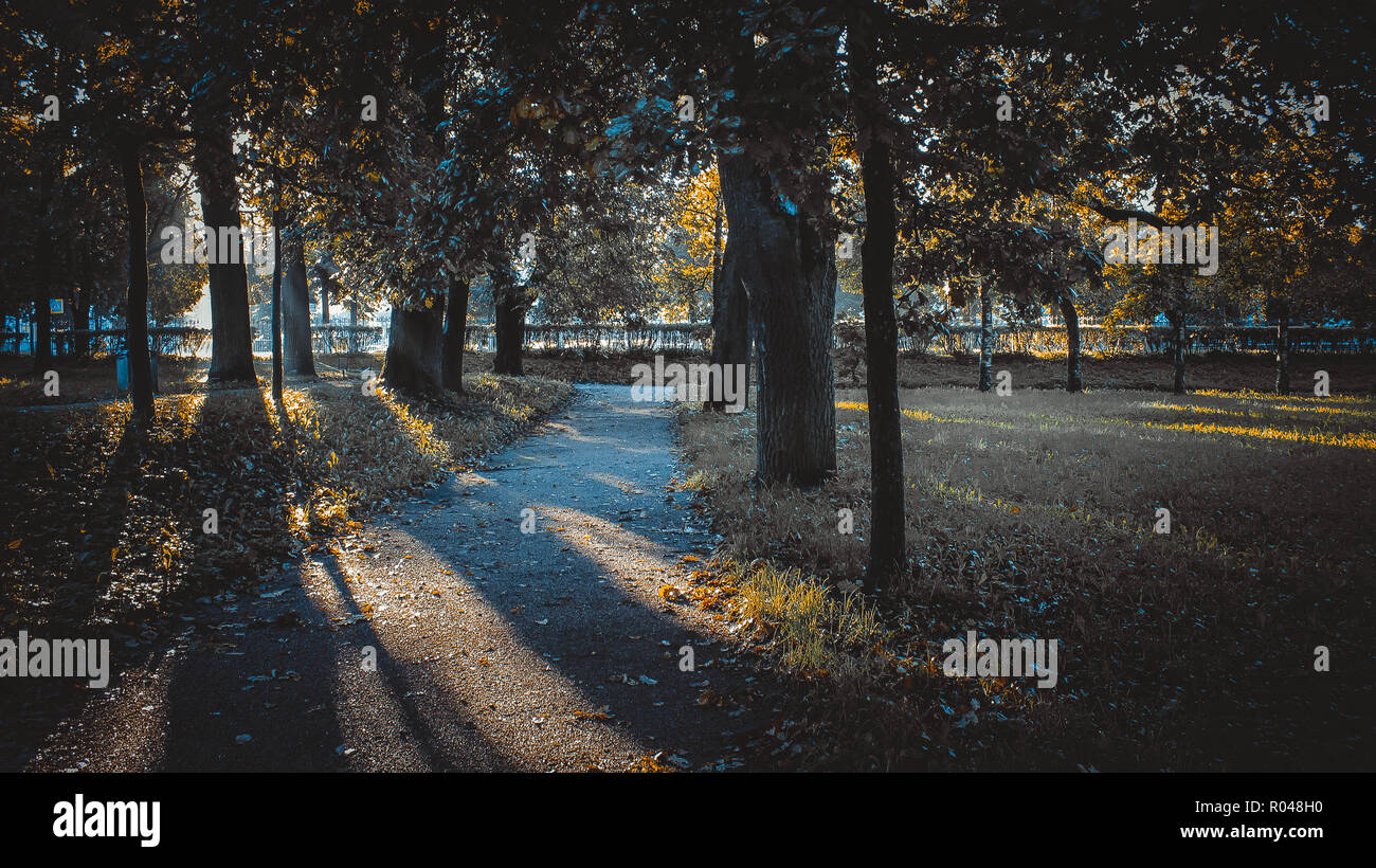 Summer park path. Green trees, stone paths. Walk in the fresh air ...