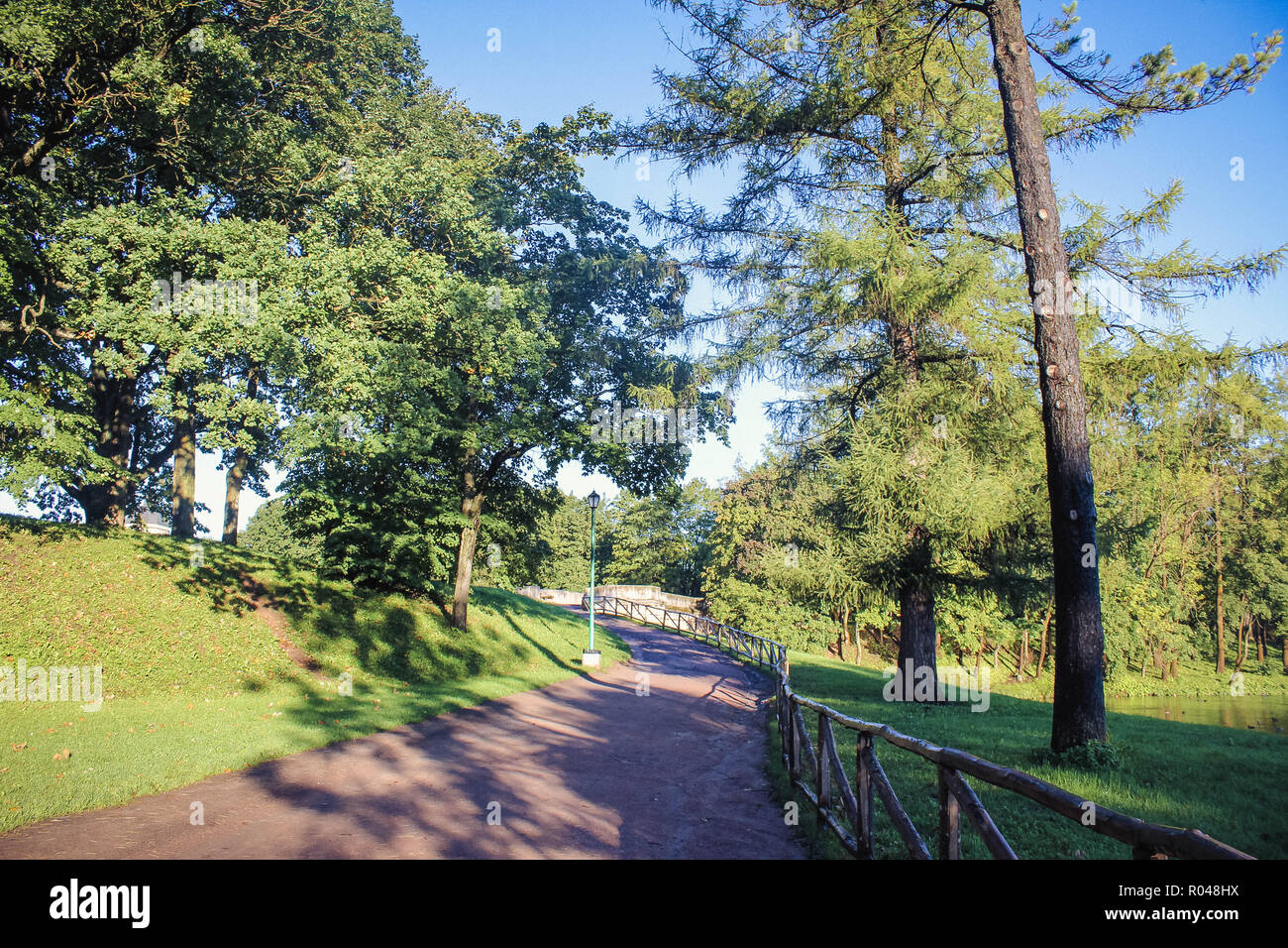 Summer park path. Green trees, stone paths. Walk in the fresh air ...