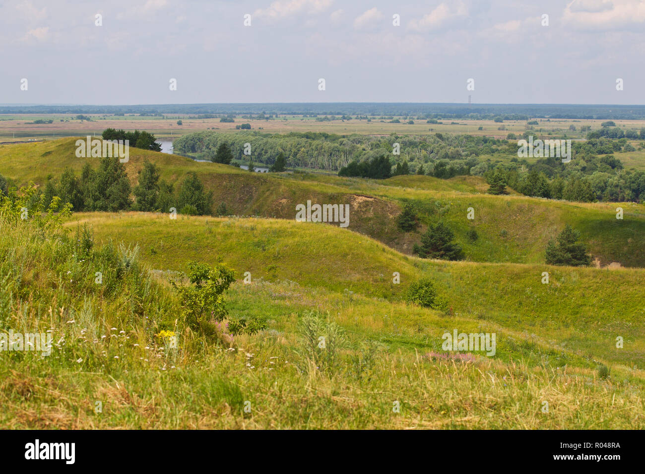 View of the Oka River near the village of Konstantinovo, Ryazan Region ...