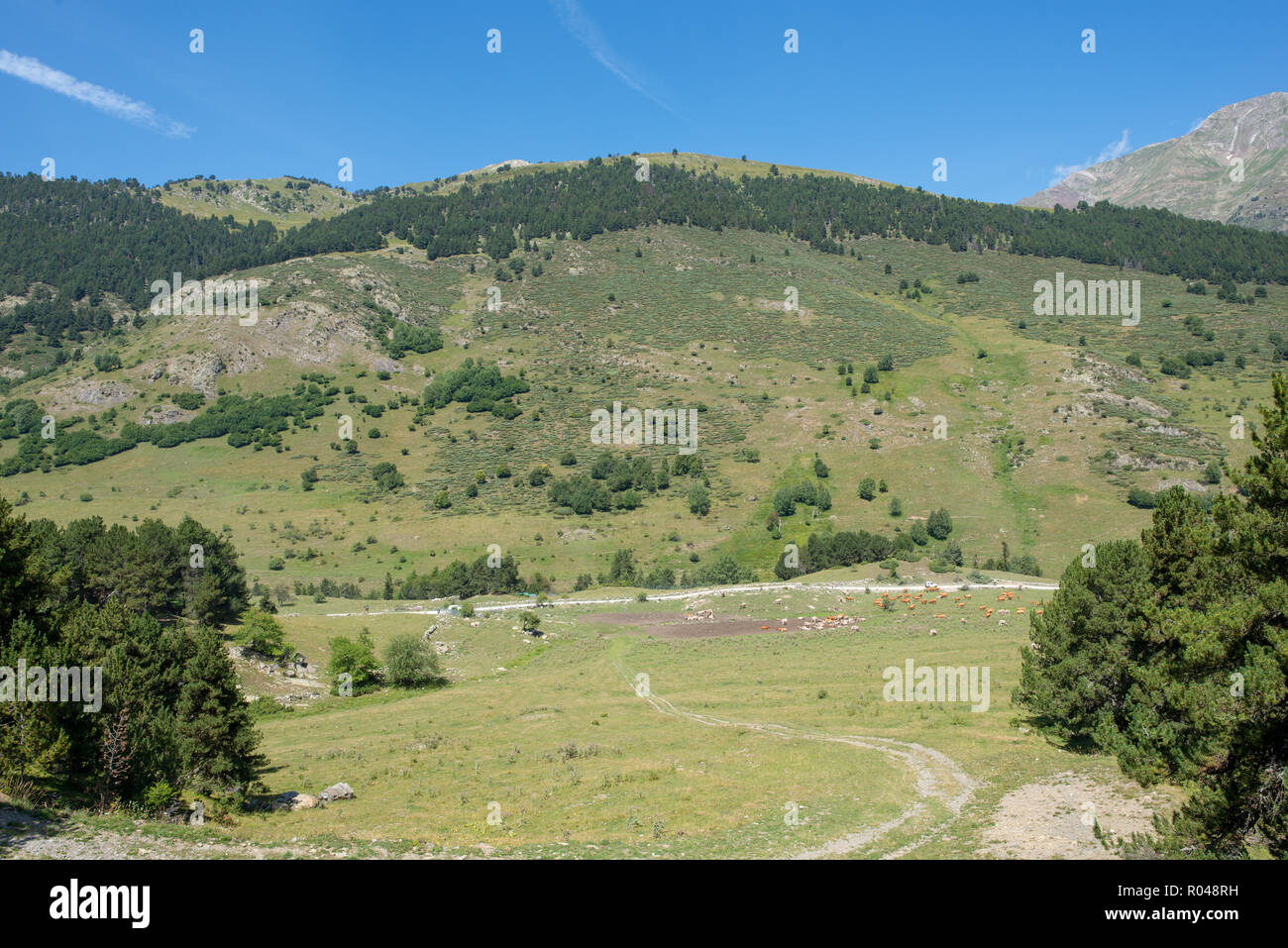 River on the road to Montgarri from the valley of Aran, Spain Stock ...