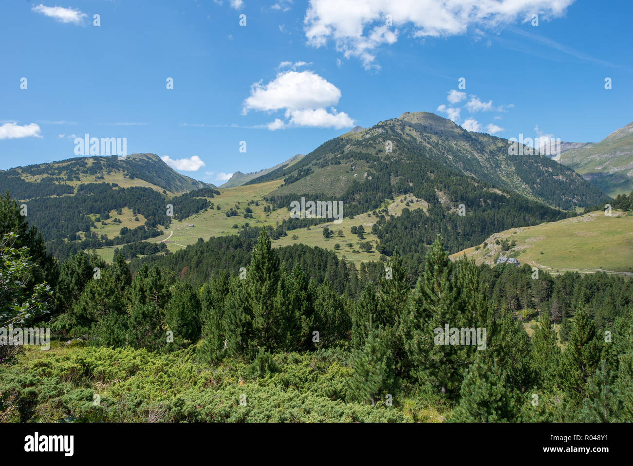 River on the road to Montgarri from the valley of Aran, Spain Stock ...