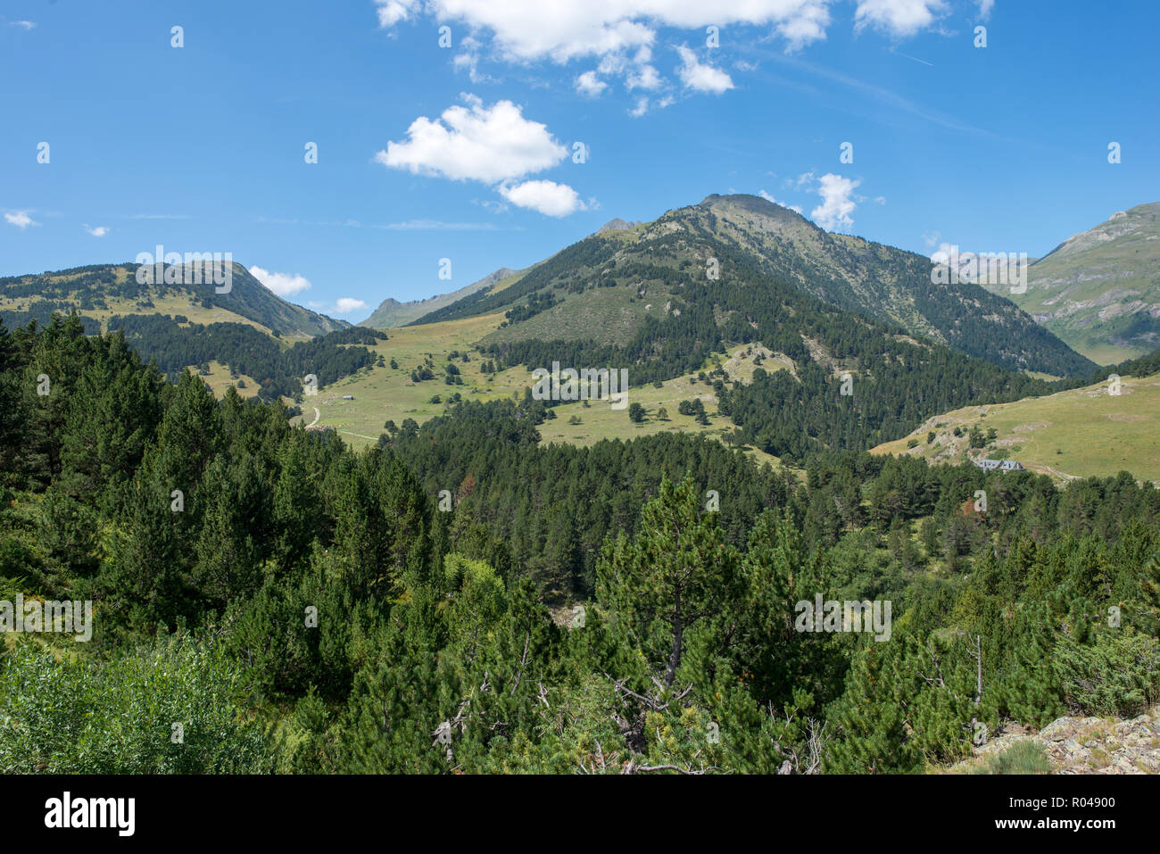 River on the road to Montgarri from the valley of Aran, Spain Stock ...