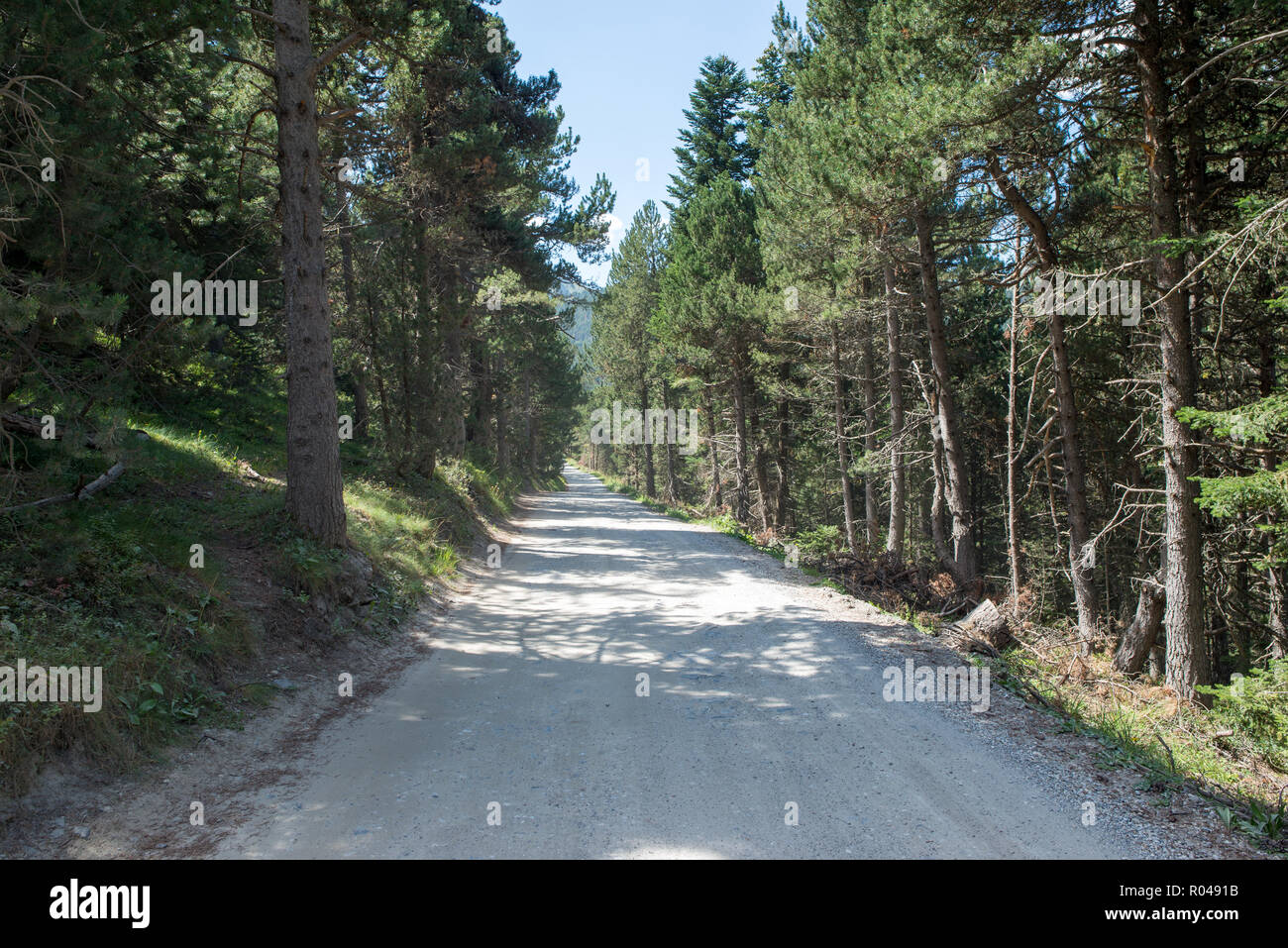 River on the road to Montgarri from the valley of Aran, Spain Stock ...