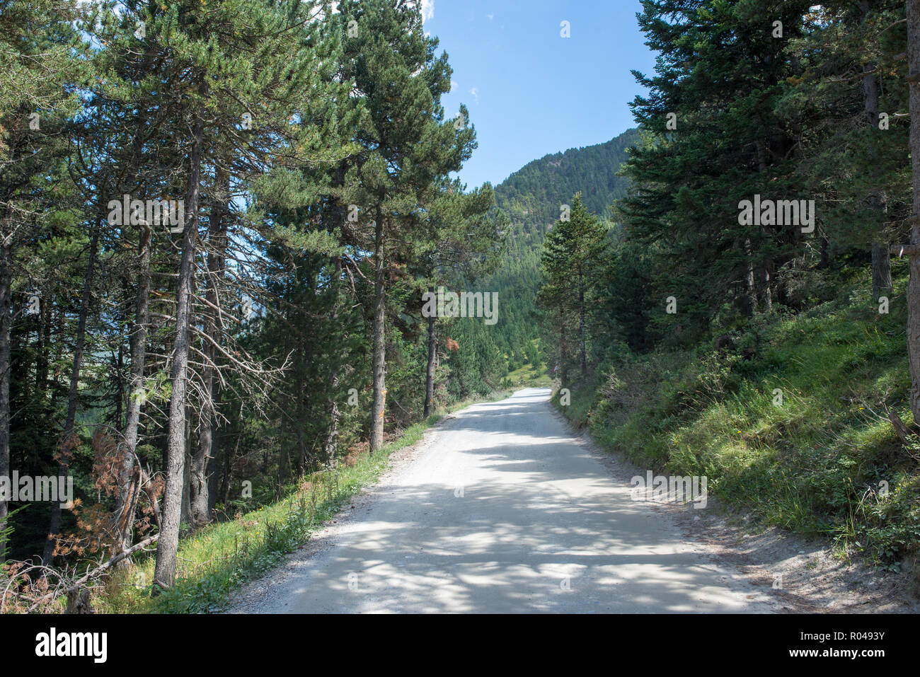 River on the road to Montgarri from the valley of Aran, Spain Stock ...