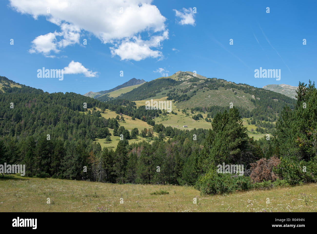 River on the road to Montgarri from the valley of Aran, Spain Stock ...
