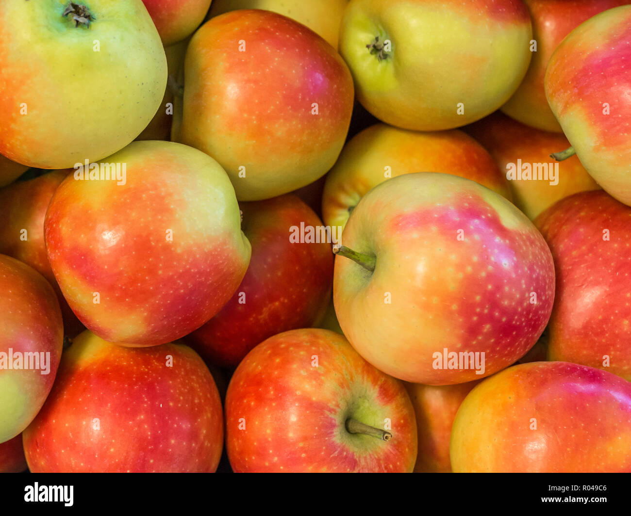 Apple puree hi-res stock photography and images - Alamy
