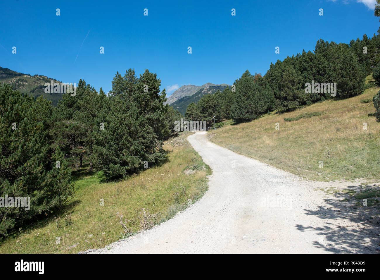 River on the road to Montgarri from the valley of Aran, Spain Stock ...