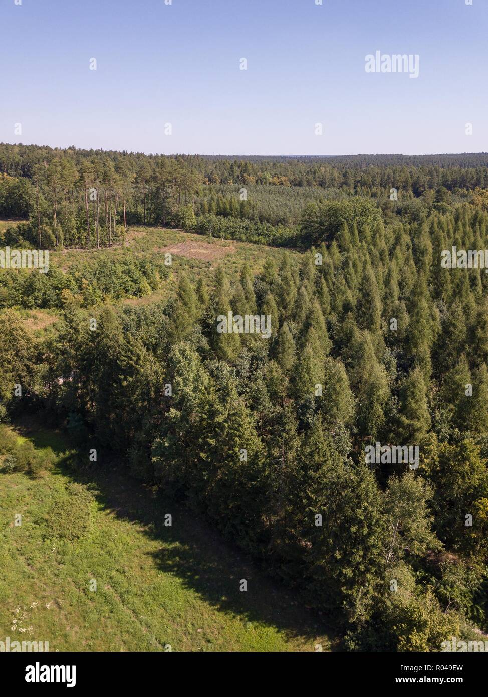 Forest seen from above. Drone landscape with European forest Stock ...