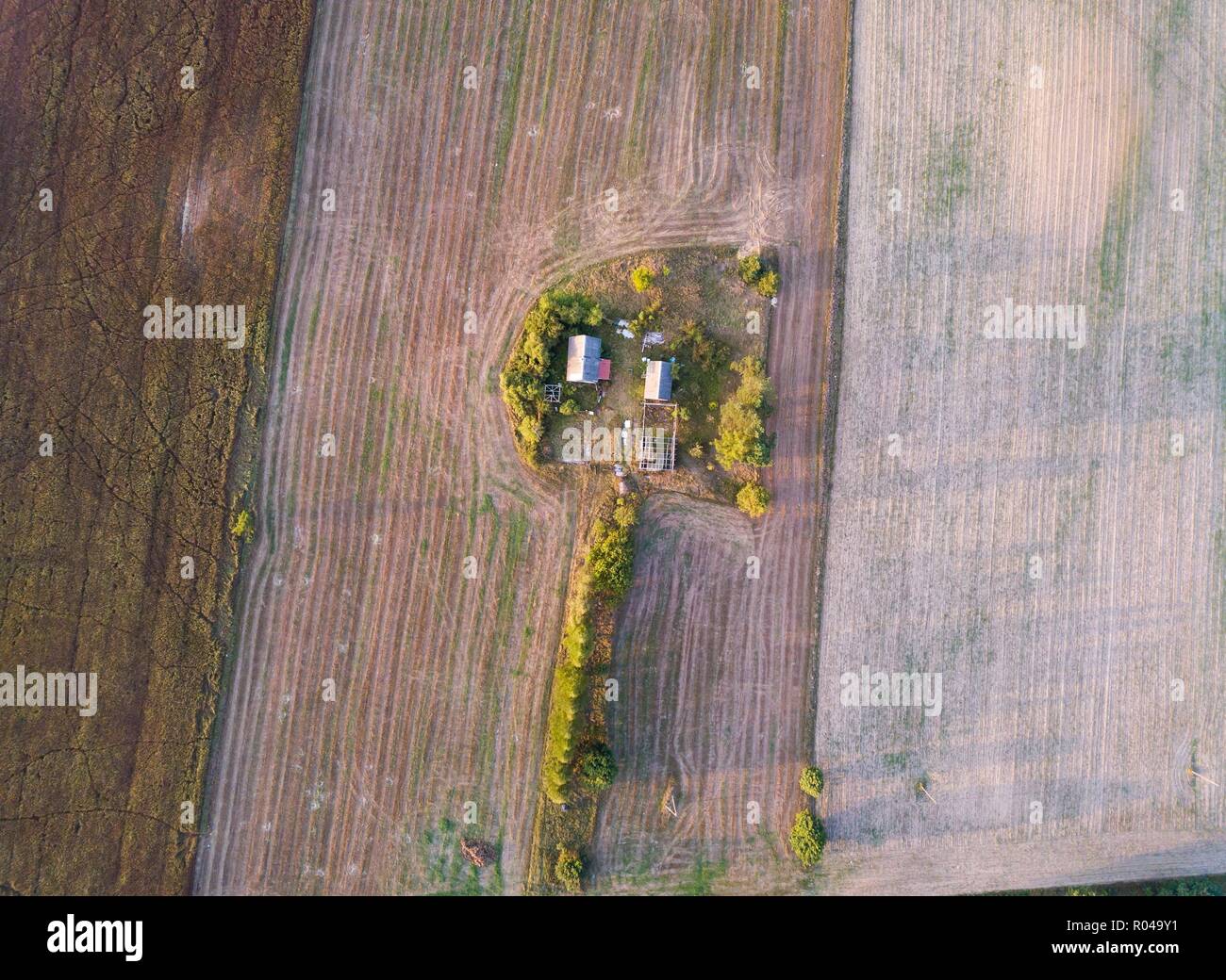 Top down view of farmland. Polish golden light landscape Stock Photo ...