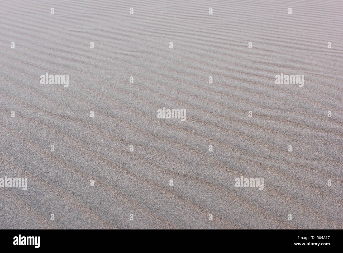 The desert. Wind creates ripples in desert sand Stock Photo - Alamy