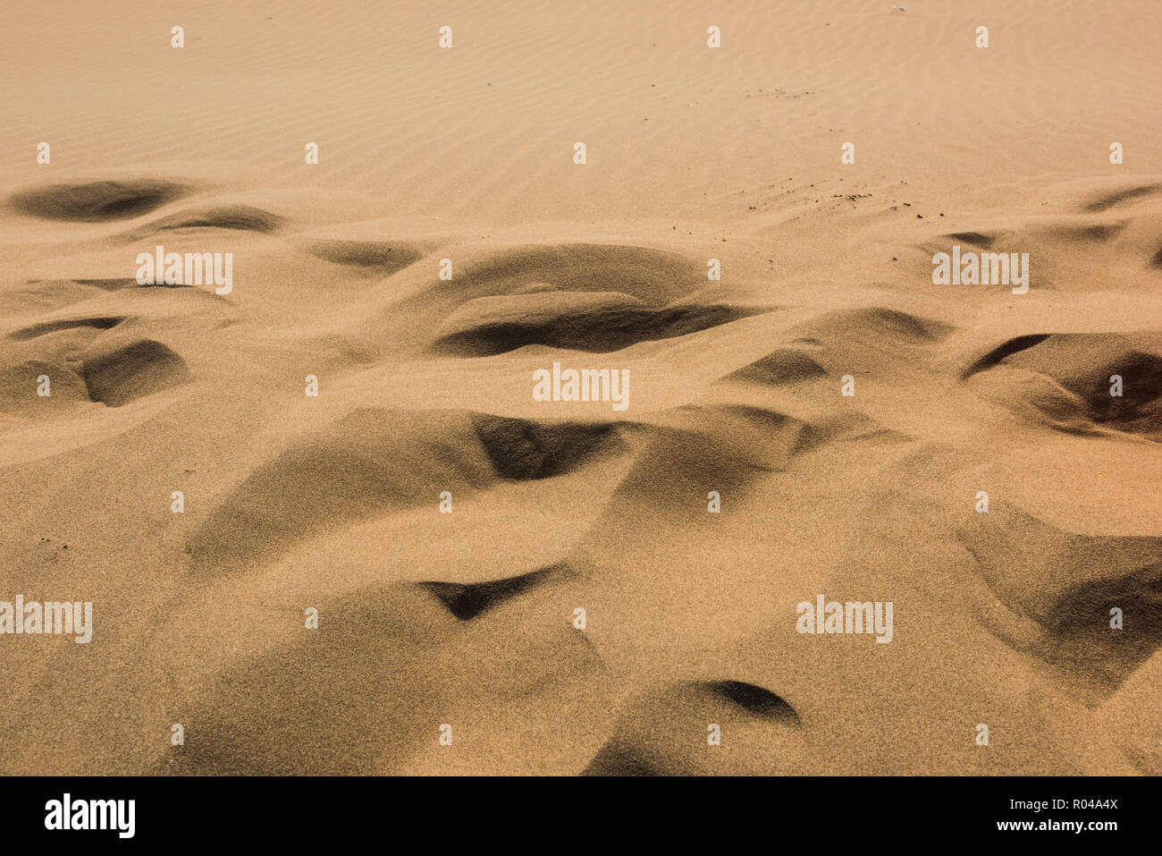 Foot Steps in The Desert Stock Photo - Alamy