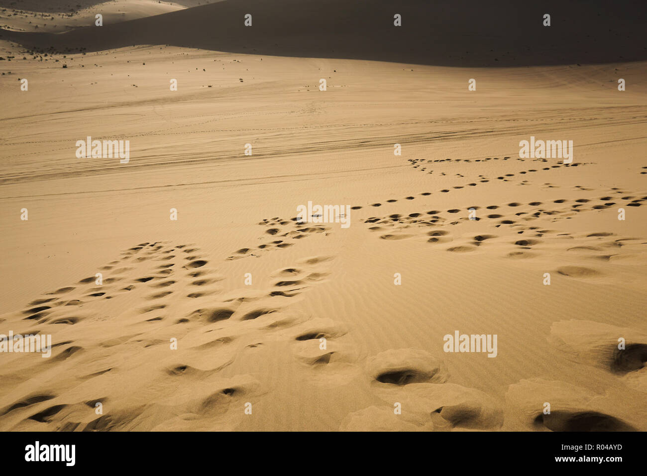 Steps in the desert hi-res stock photography and images - Alamy
