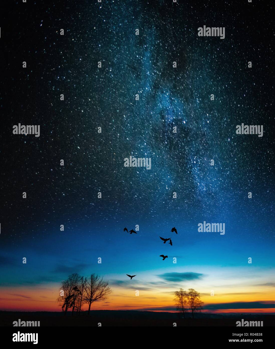 Dreamy surreal landscape with starry night sky and dawn. Crows flying ...